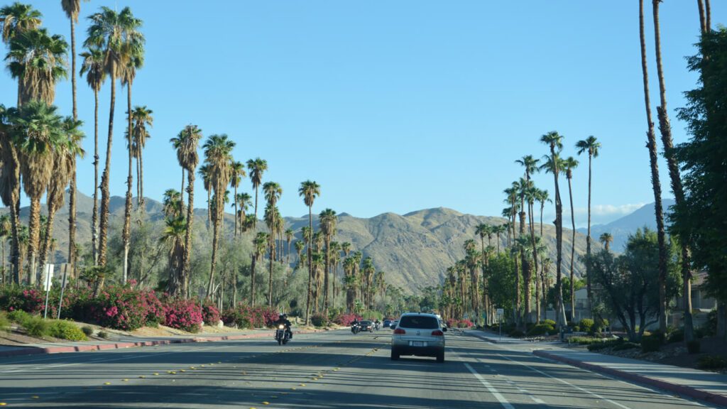 Que faire à Palm Springs : les Activités Incontournables