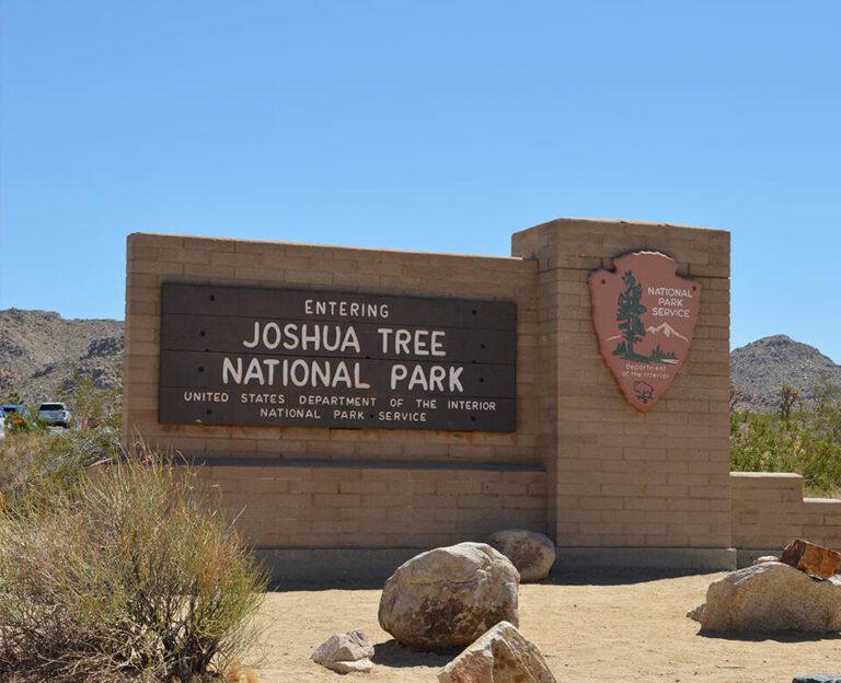 Visiter le Parc National de Joshua Tree : Le désert hypnotique